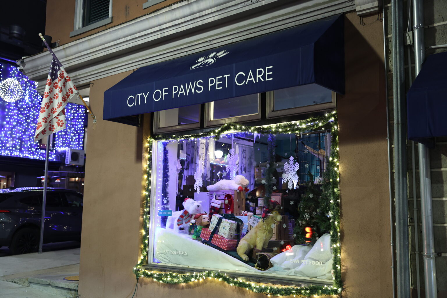 Holidays In Manayunk - Manayunk